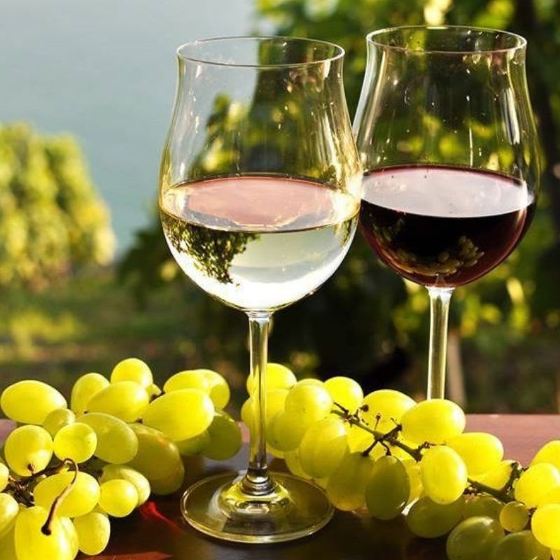 Greek wines | Agora Greek Delicacies